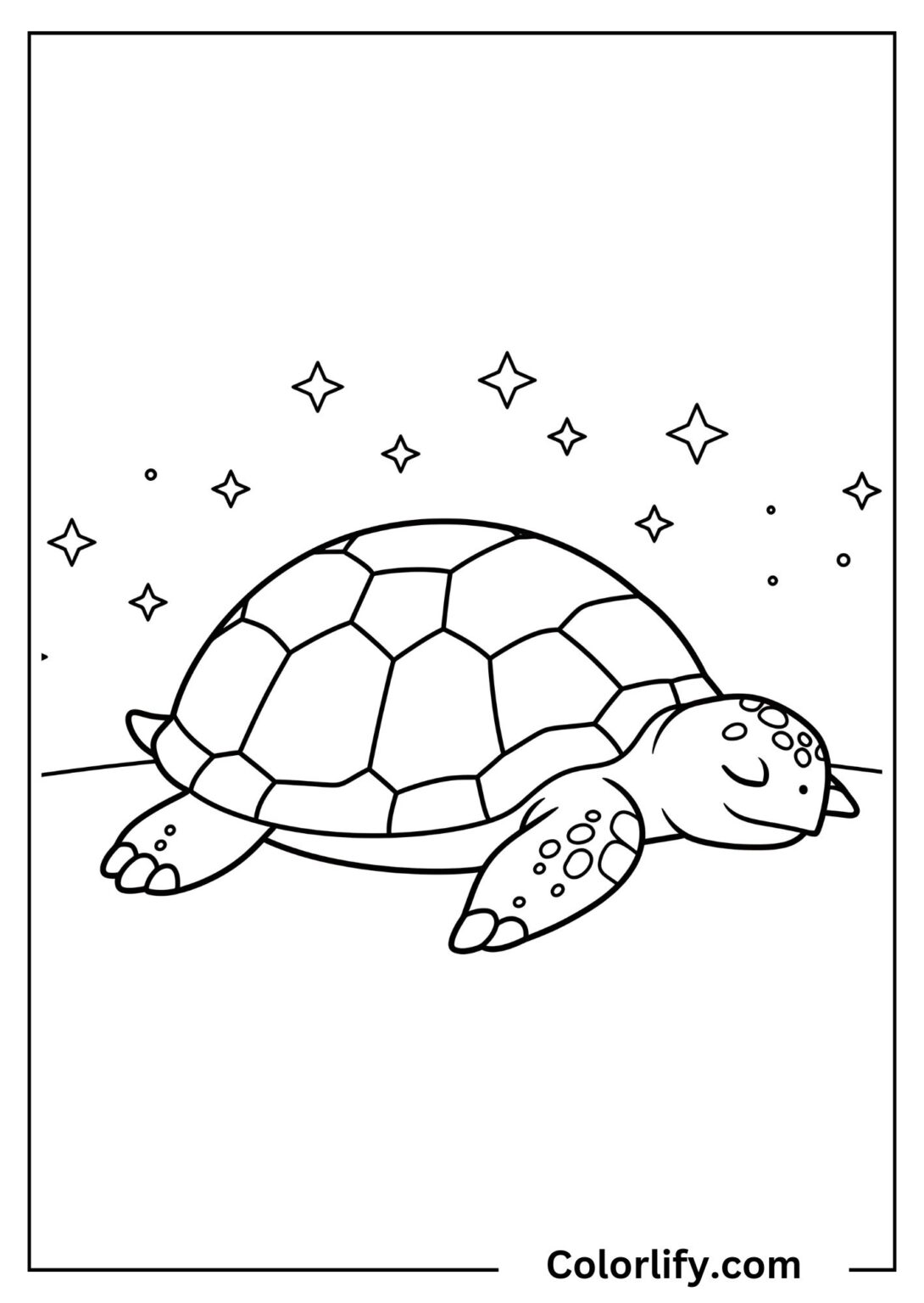 Turtle Coloring Pages for Kids & Adults | Free PDF Printables