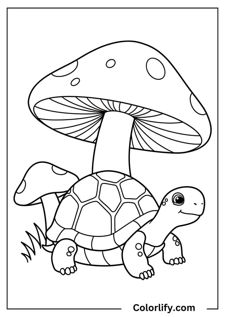 Turtle Coloring Pages for Kids & Adults | Free PDF Printables