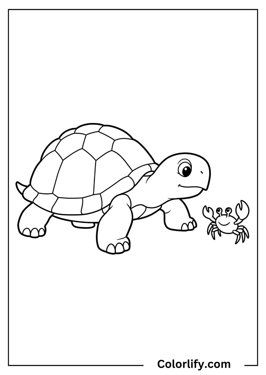 Turtle Coloring Pages for Kids & Adults | Free PDF Printables